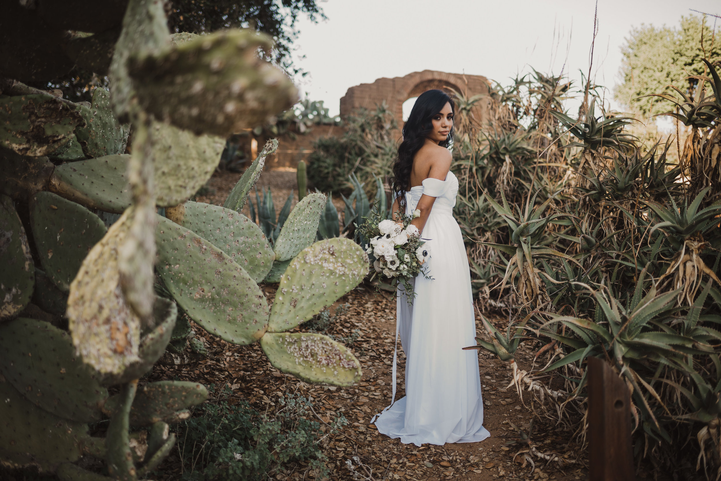 Nancy Lobo Designs