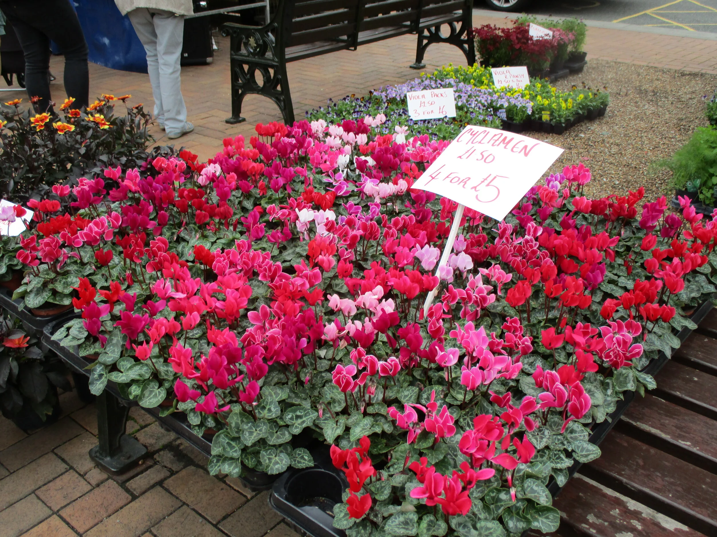 2019 — Thelma Ruby