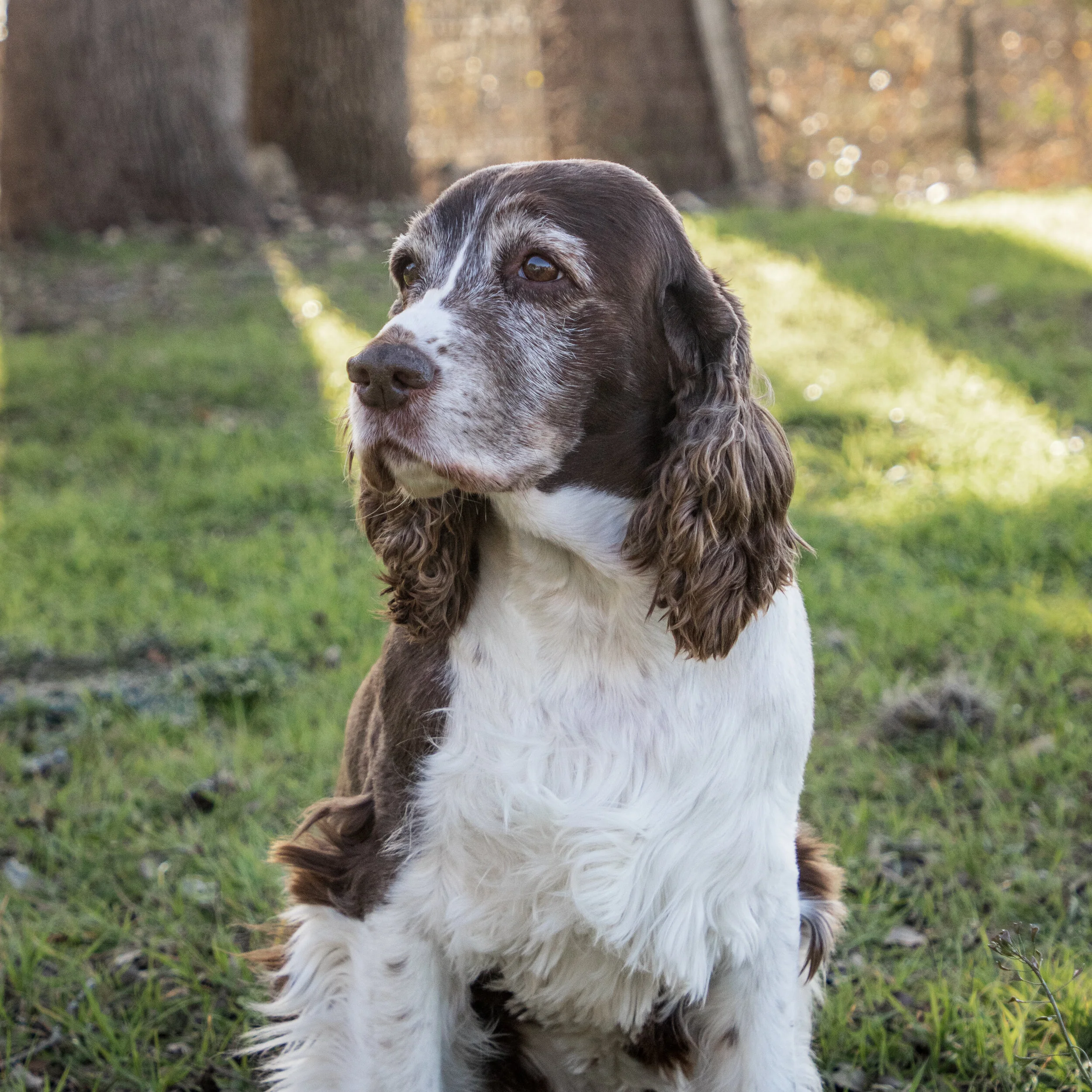 Our Team — Goshawk Environmental Consulting, Inc.