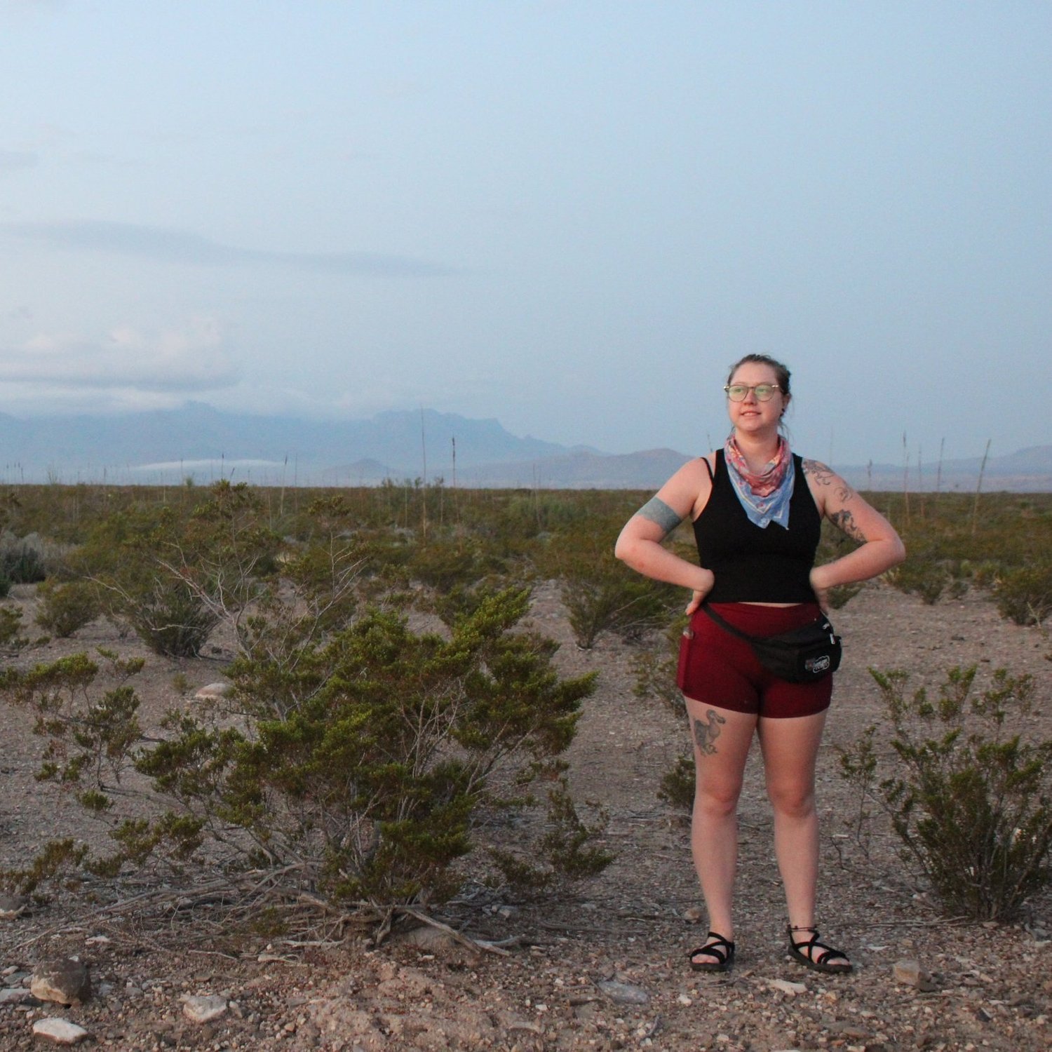 Our Team — Goshawk Environmental Consulting, Inc.