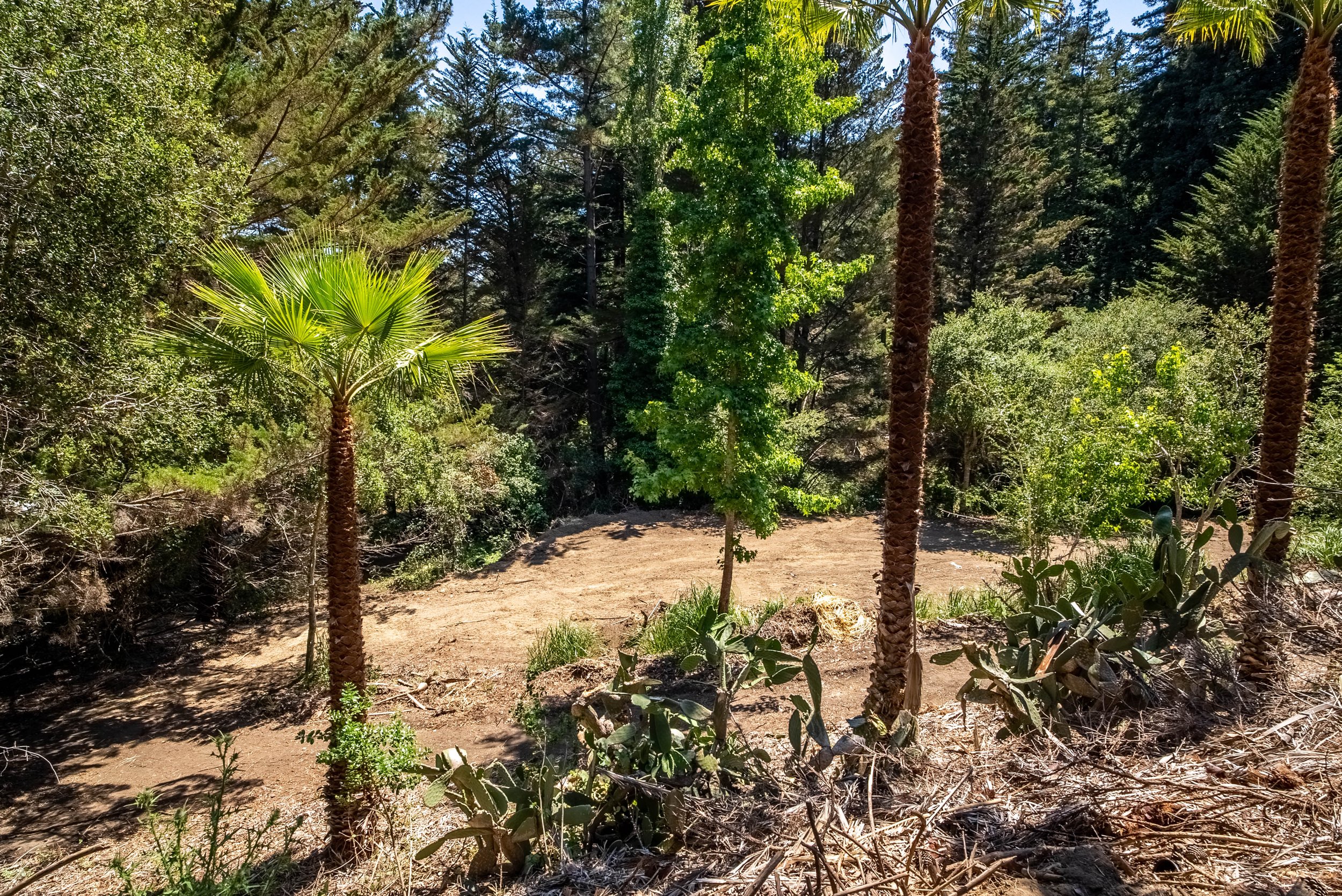 100 Muir — Blue Sky Property Management