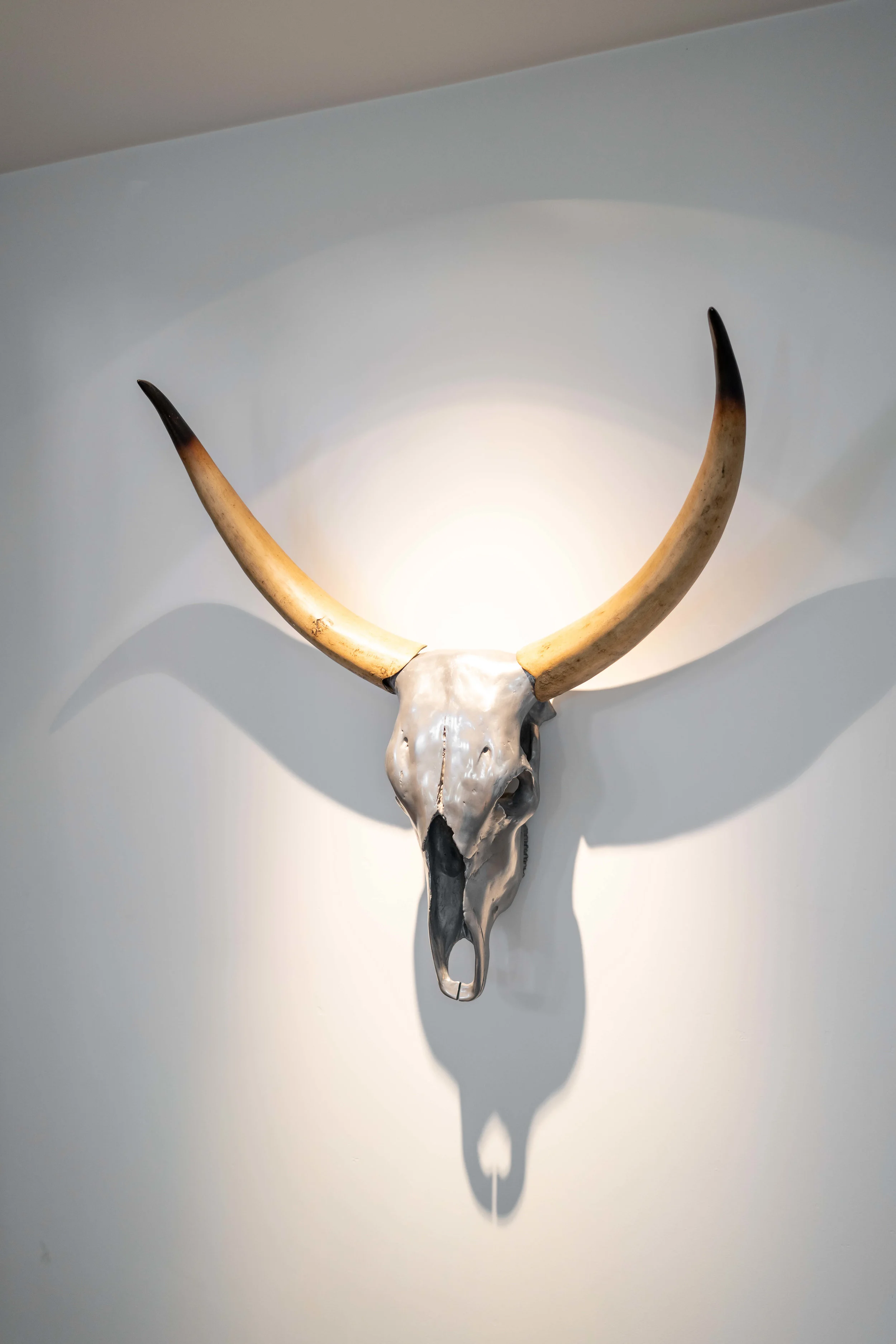 Classic Sonoran Retreat in the Heart of Scottsdale, AZ — Boutique Host