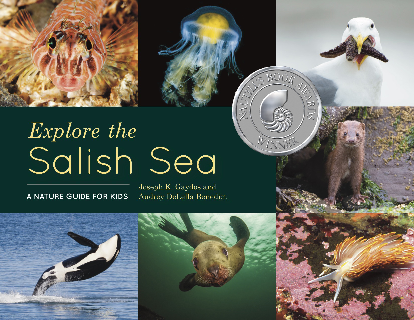 Explore the Salish Sea: A Nature Guide for Kids — SeaDoc Society