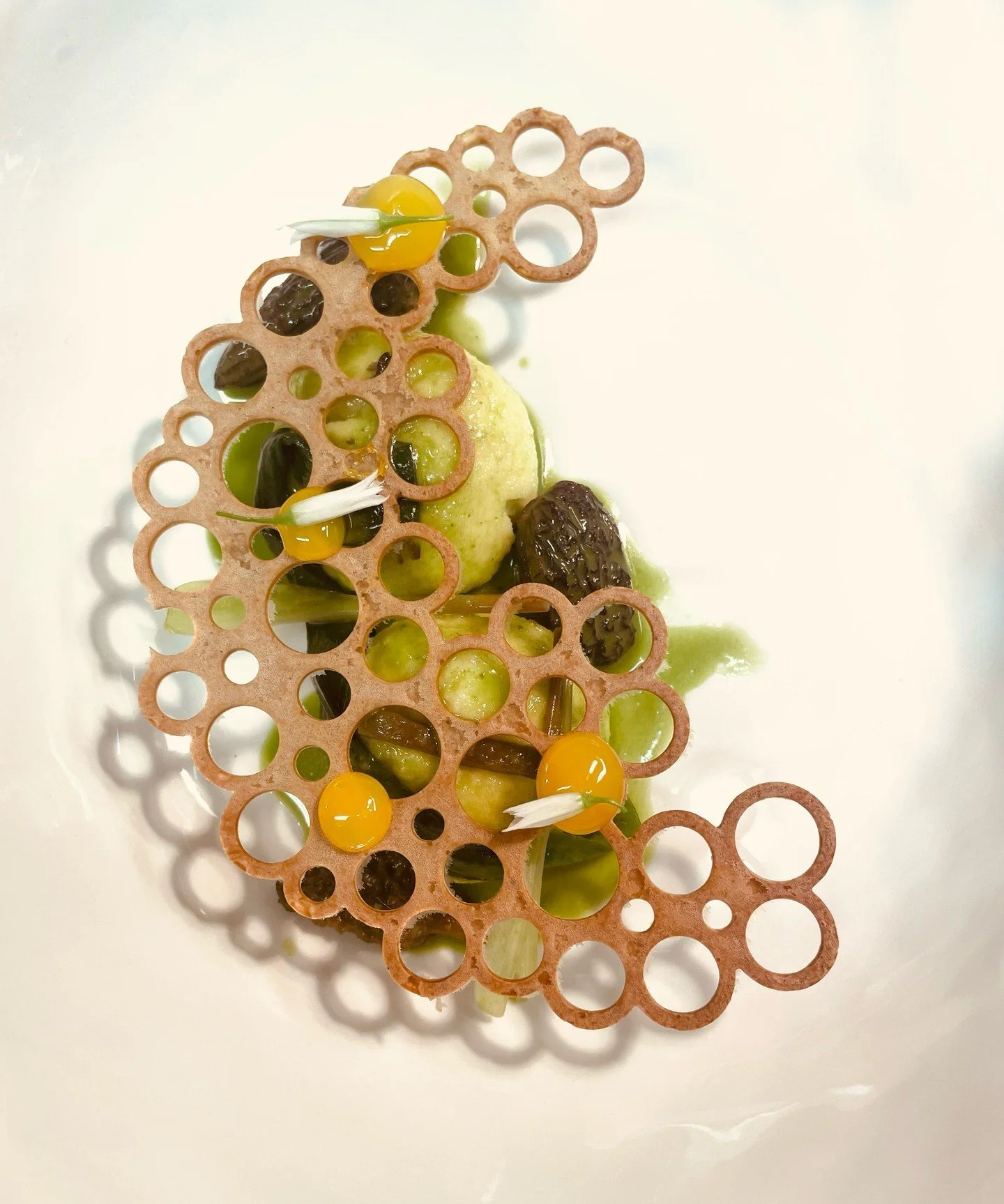 Menu — The Painted Lady Restaurant | Oregon Wine Country | Newberg, Oregon