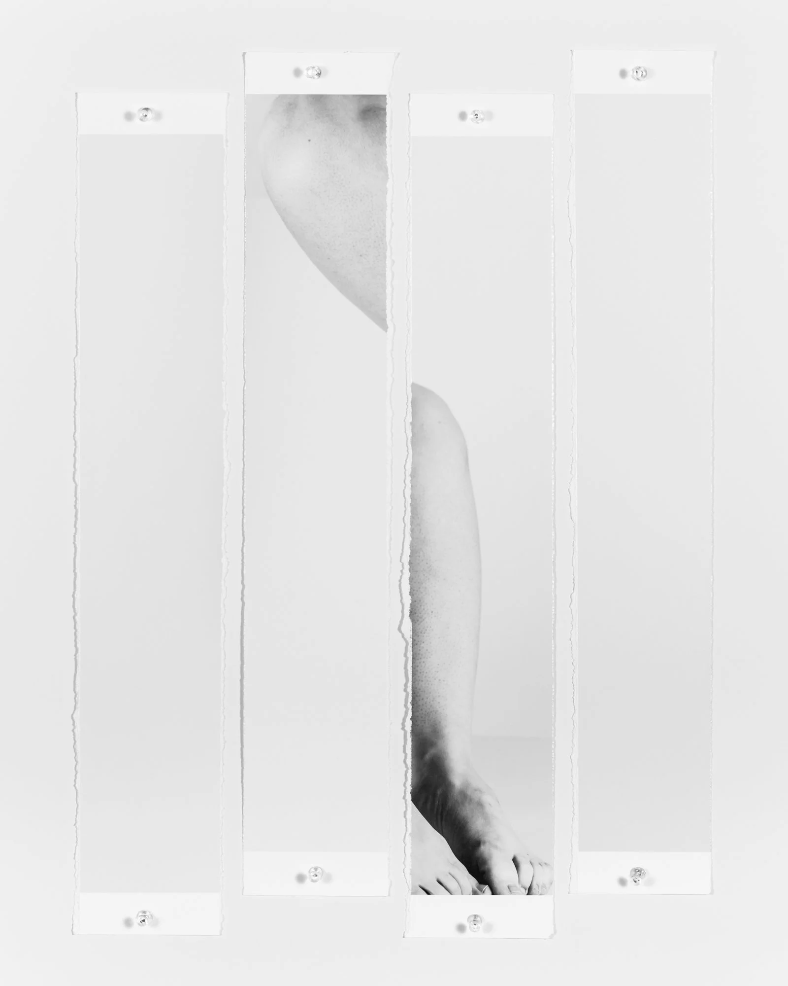Test Stripping — BRITTANY BROOKE CROW