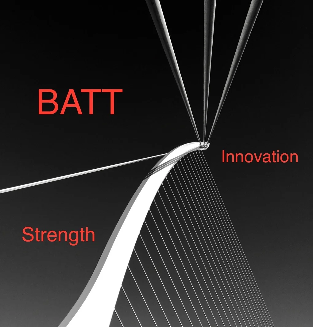 Harry Batt (1) LIFE and (2) Consulting