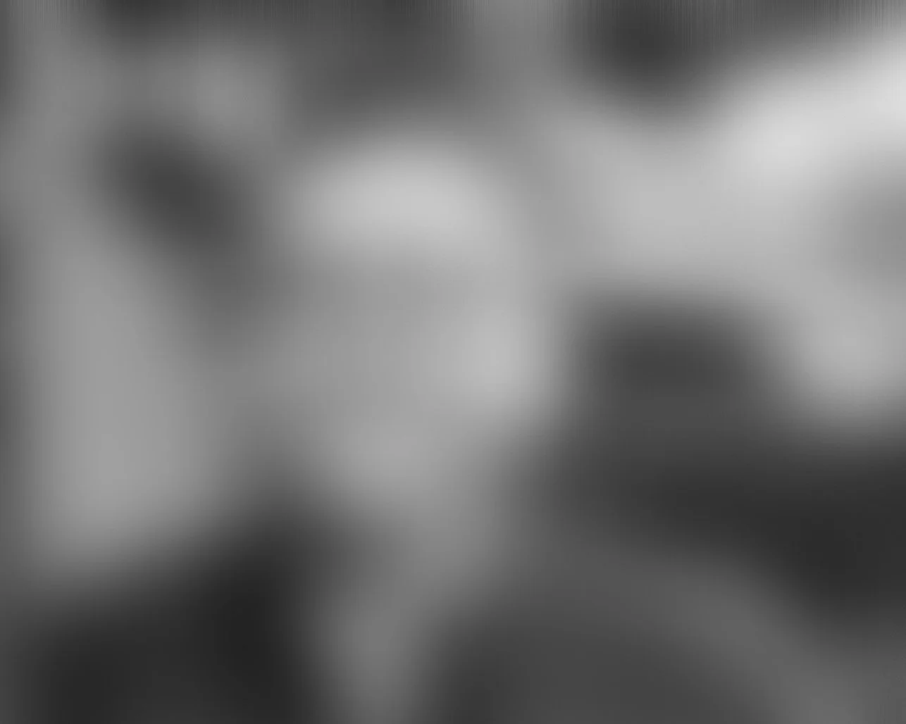 Who We Are — Campus United