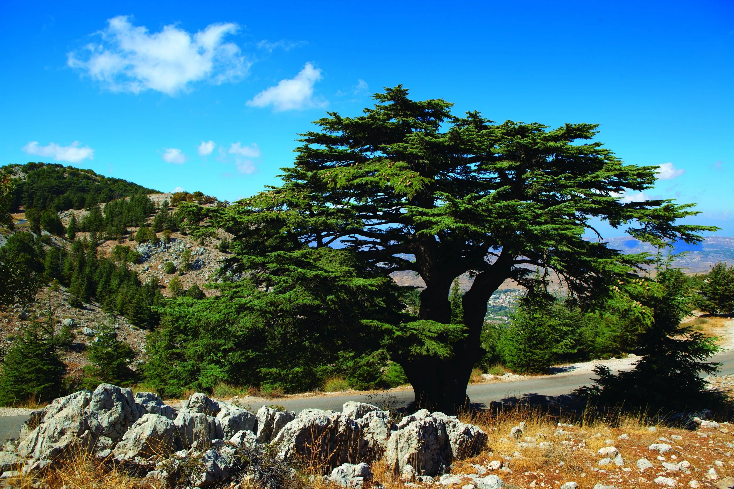 Al Shouf Biosphere Reserve Ecotourism — MEET Network