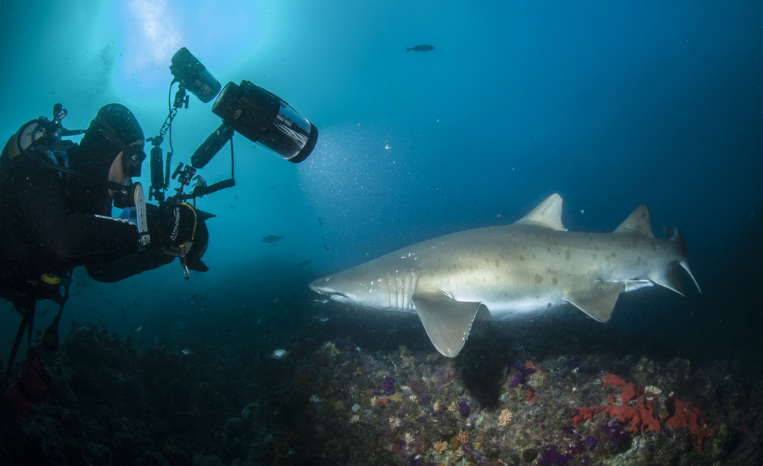 Benefits — Marine Protected Areas South Africa
