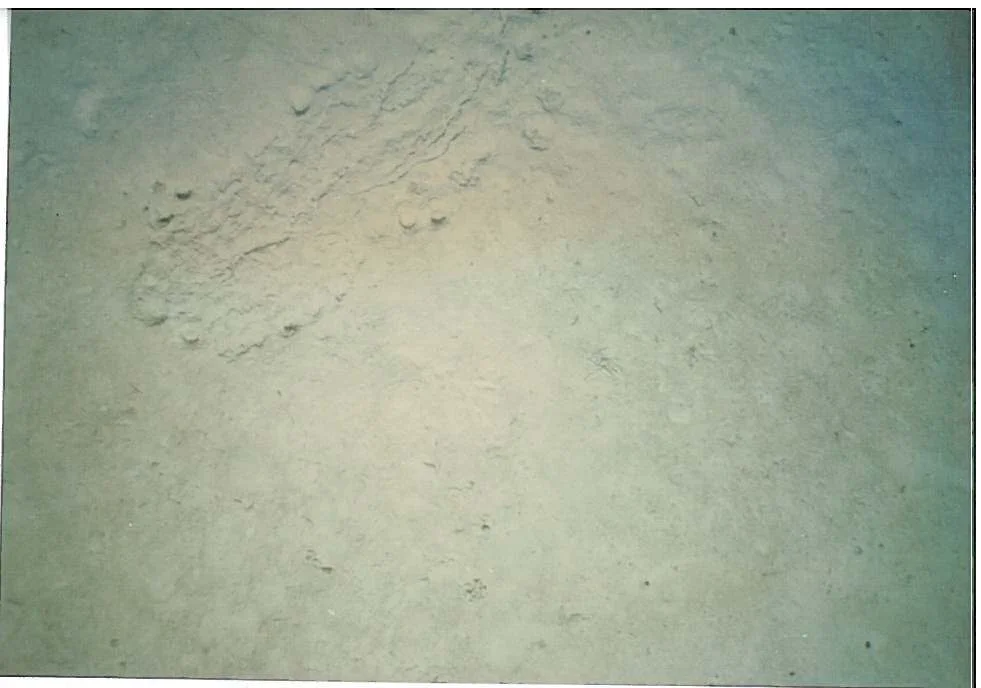 Abyssal plain — Marine Protected Areas South Africa