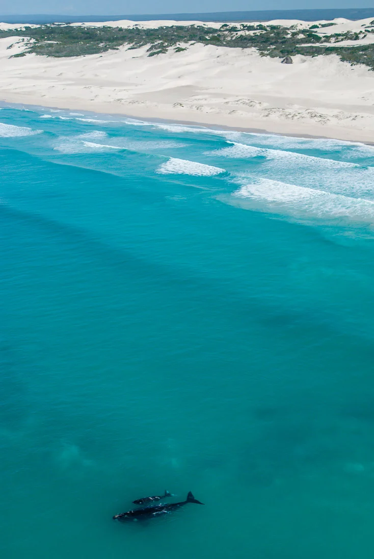 Bays — Marine Protected Areas South Africa