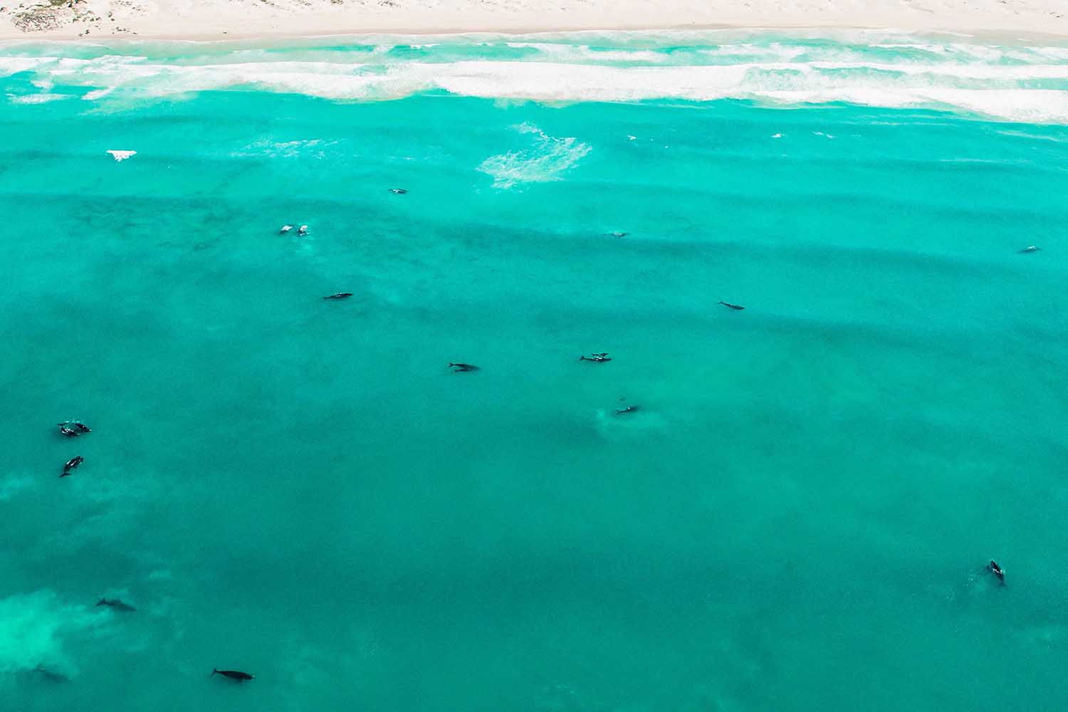 Marine Protected Areas South Africa