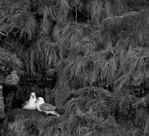 My 5 favourite ways to Reconnect with Nature — Seeking Wild Sights