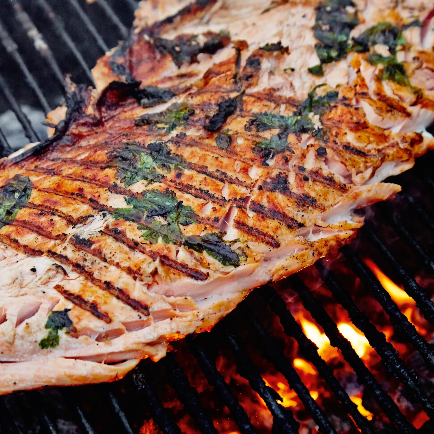 Grilled Slab of Salmon — FOSTERS MARKET