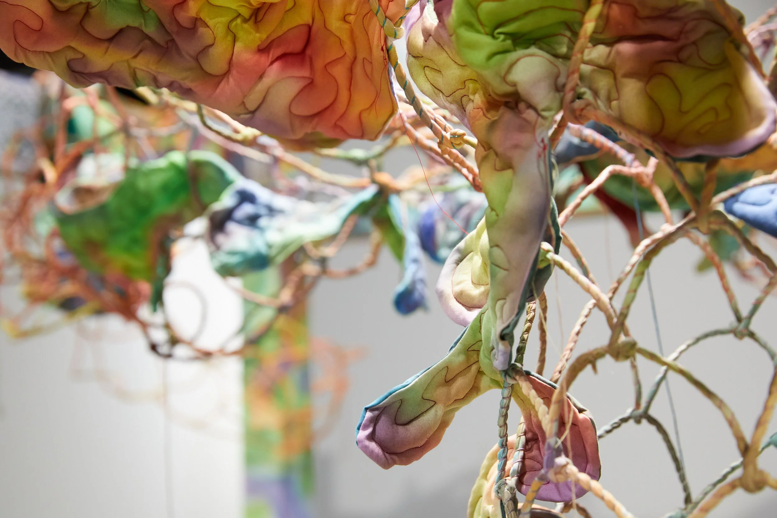 Contemporary Calgary