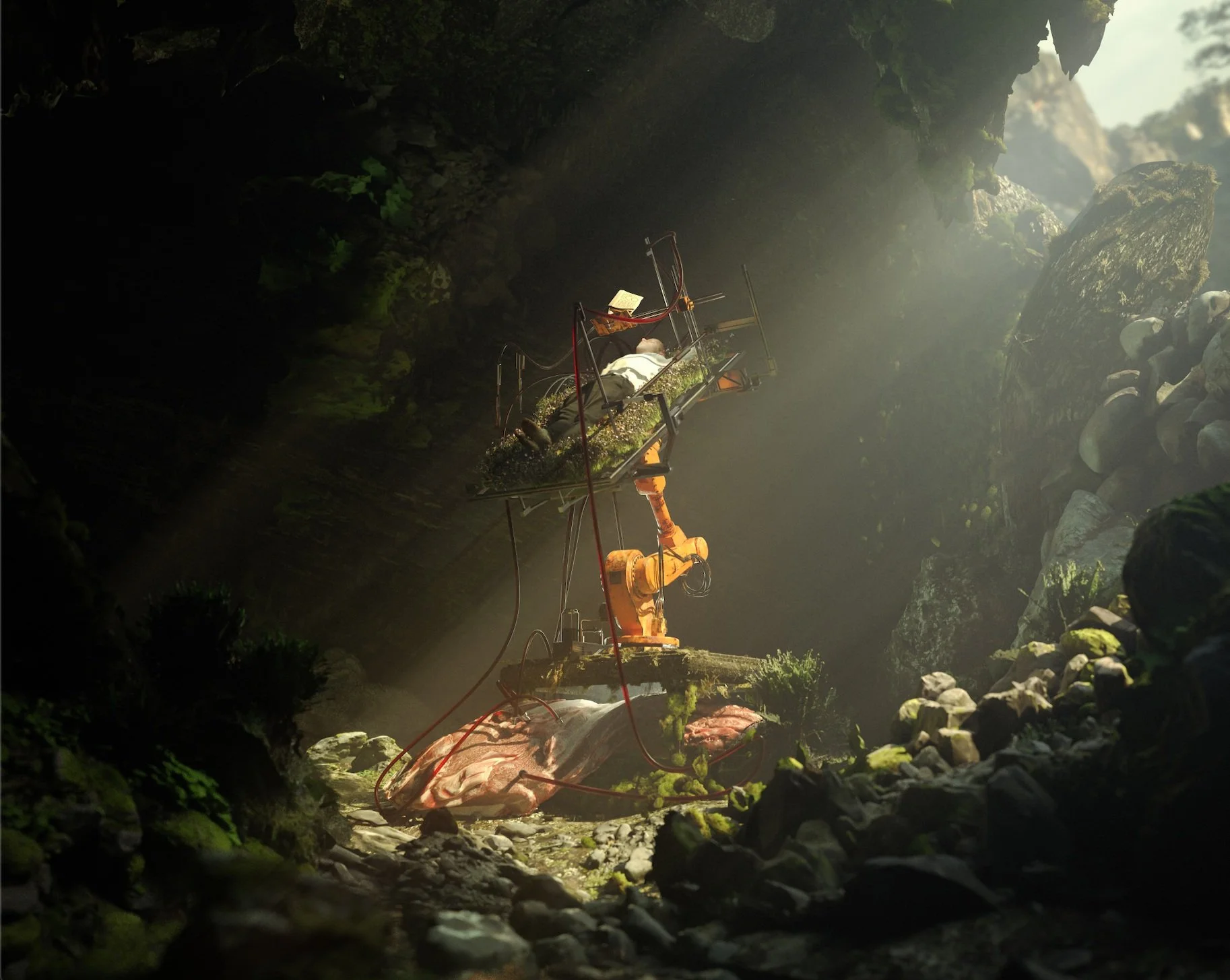 Contemporary Calgary