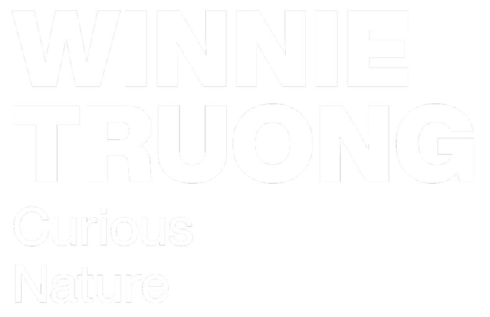 Contemporary Calgary