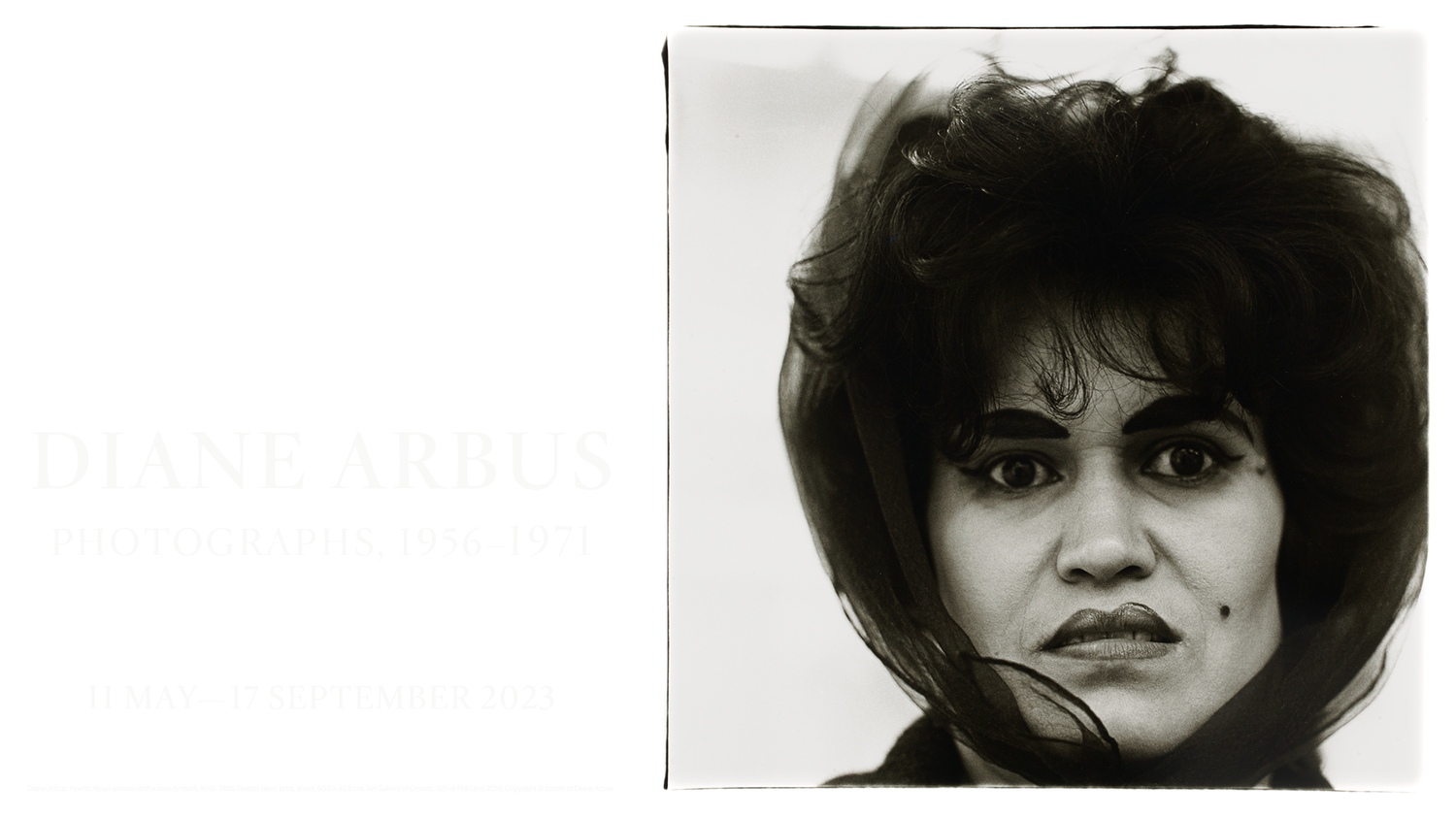 Contemporary Calgary