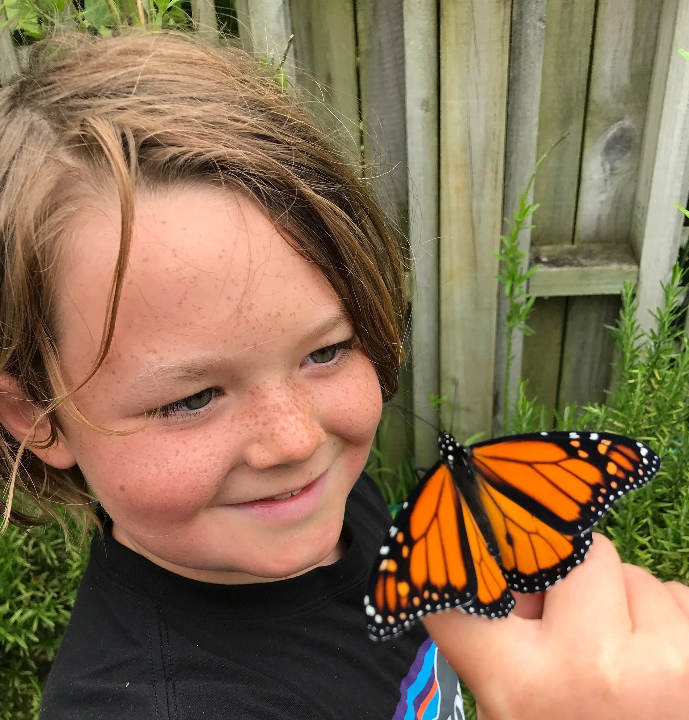 Nature Kids, Bay of Plenty: One Day Nature School / Nature Education ...