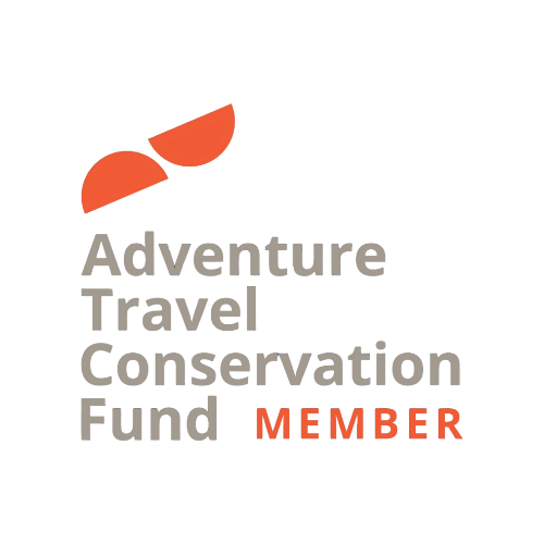 Explorer X | Where to Explore with X