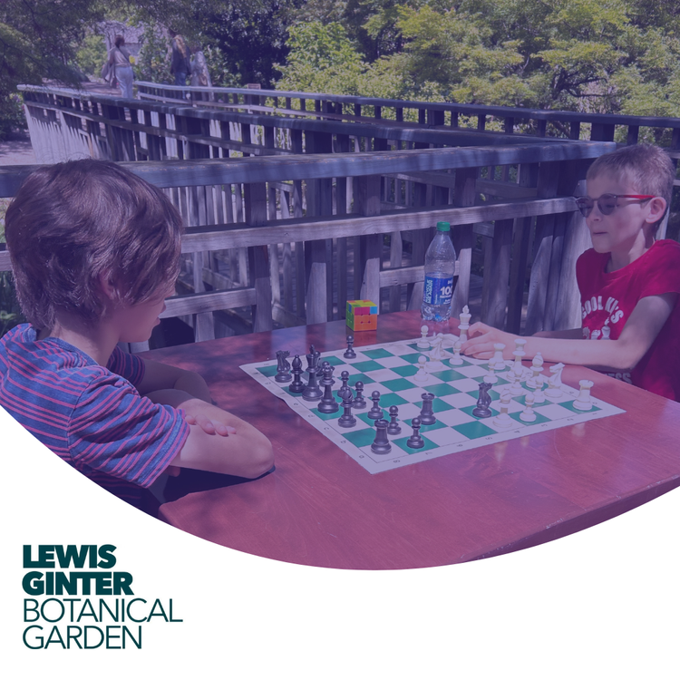 Discovery Chess, LLC