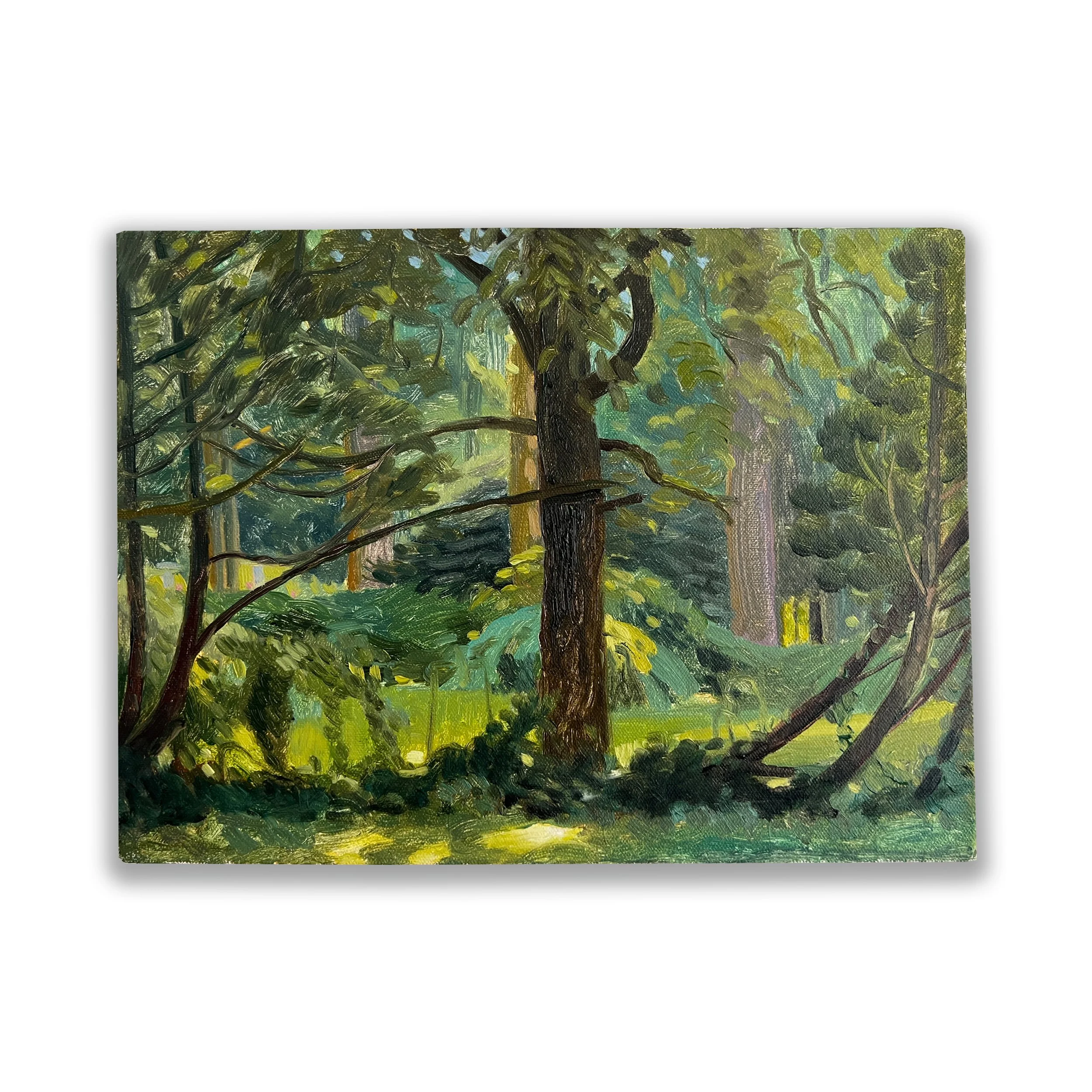 Drea Cofield — Galleri Urbane