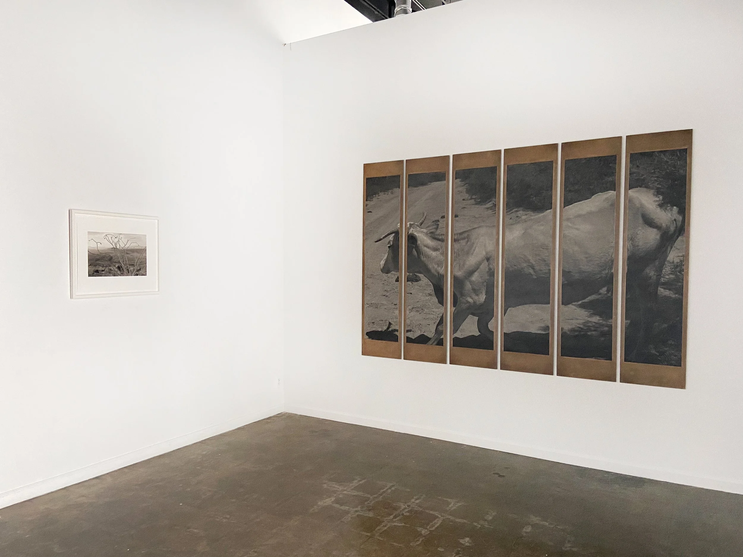 Michael Berman — Galleri Urbane