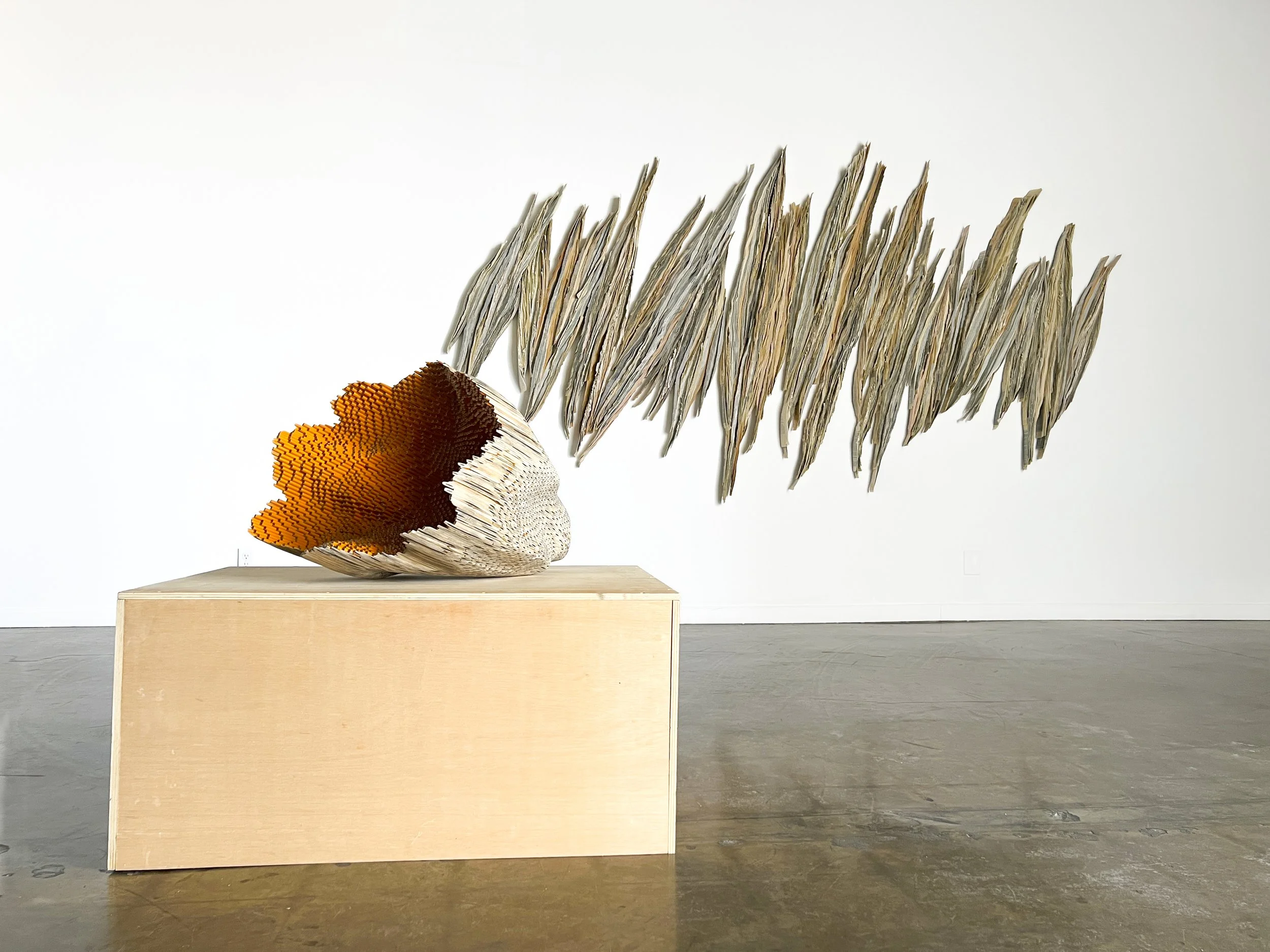 Jessica Drenk — Galleri Urbane