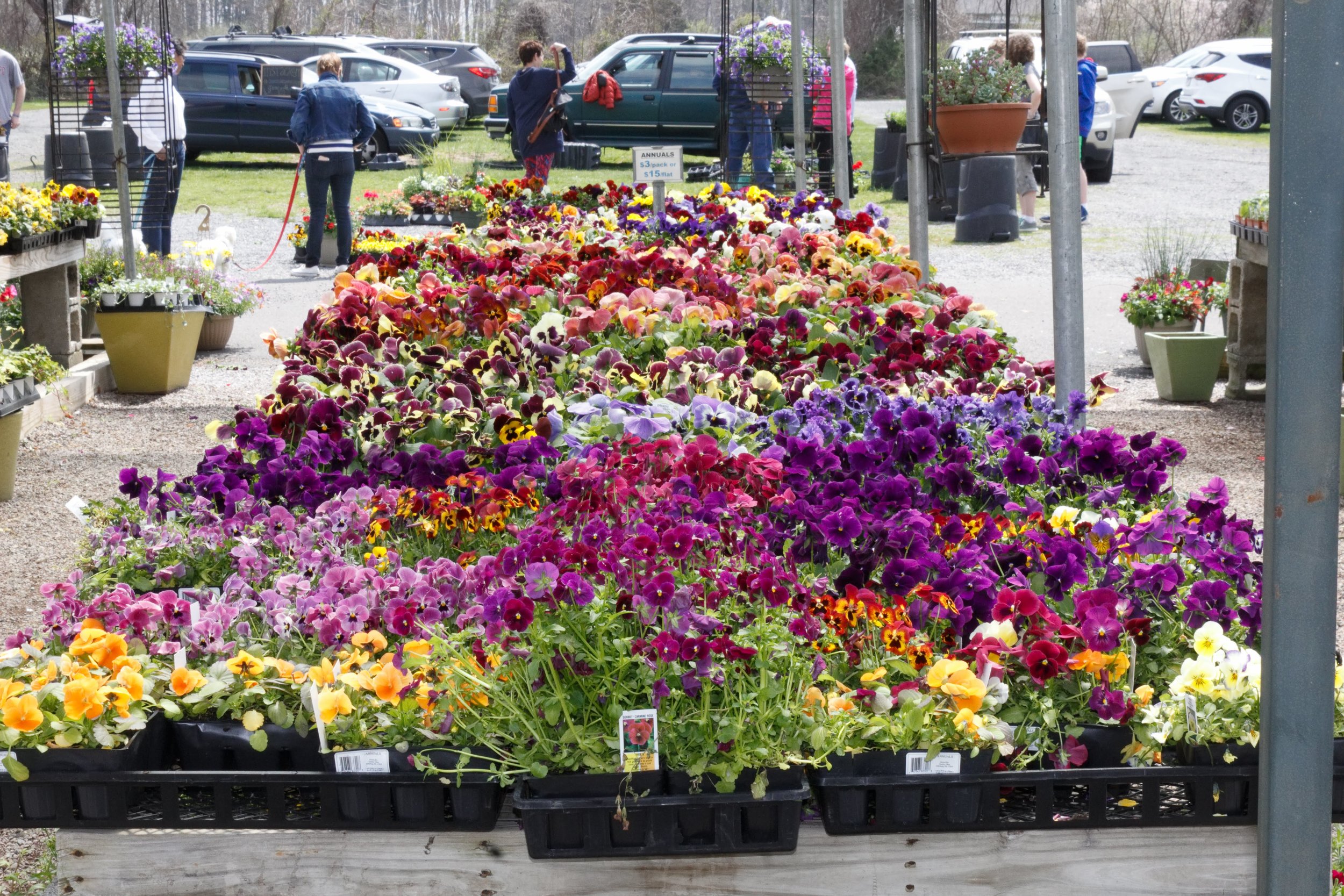 Shop — Rices Sale & Country Market