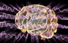Impact of Hypnosis on Brain Function — B HYPNOTIZED