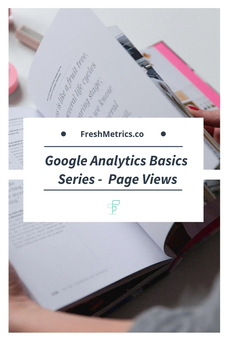 Google Analytics Basics Series - Page Views — Fresh Metrics