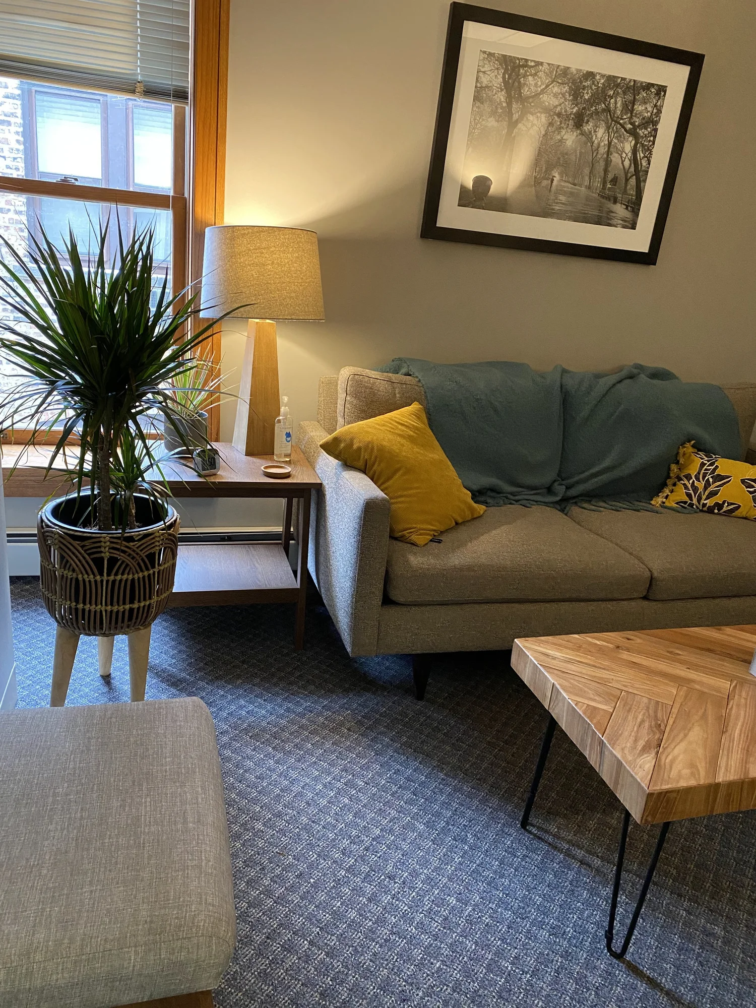 Oak Park Therapy Office | Compassionate Mental Health Services