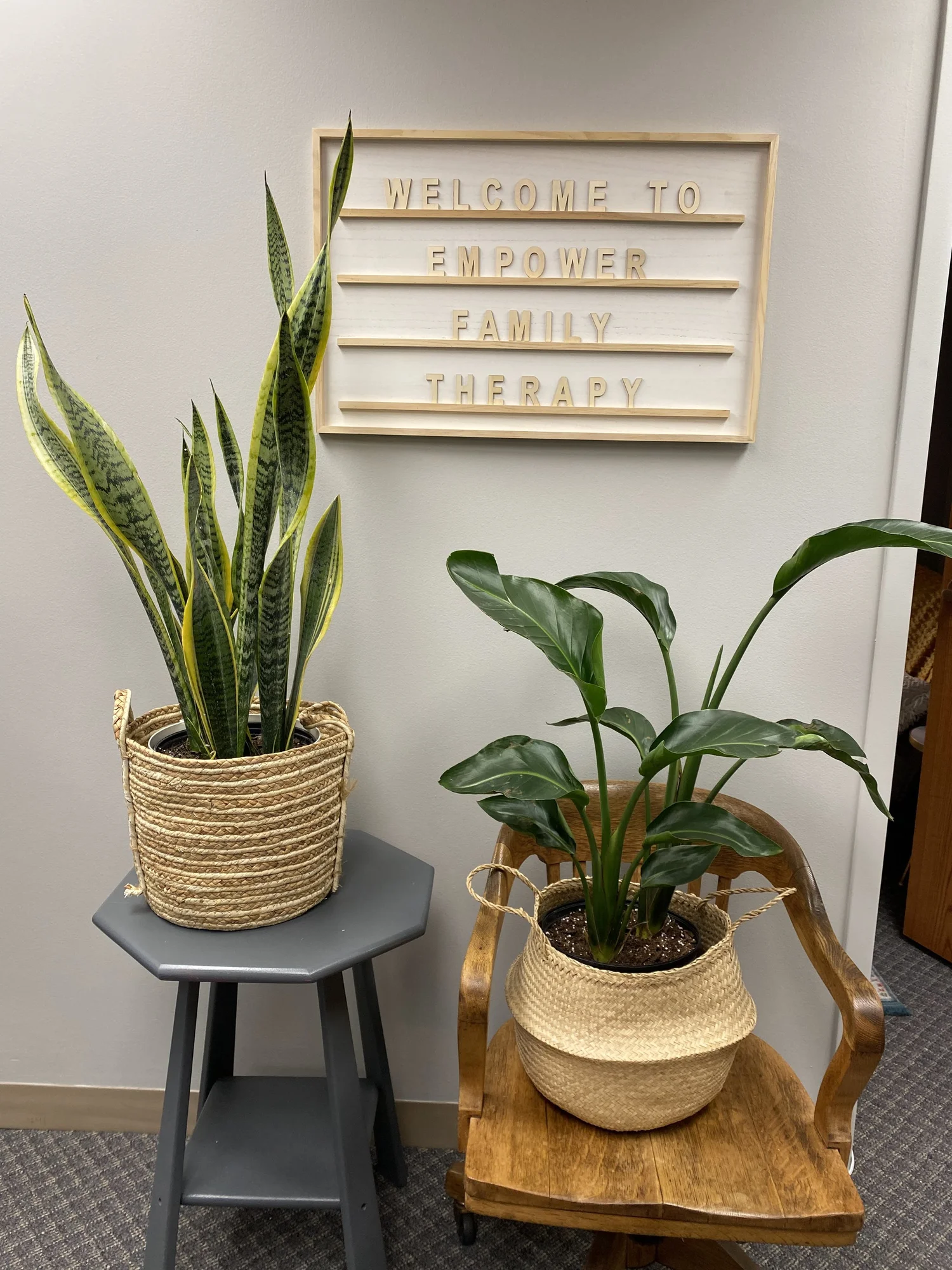 Oak Park Therapy Office | Compassionate Mental Health Services