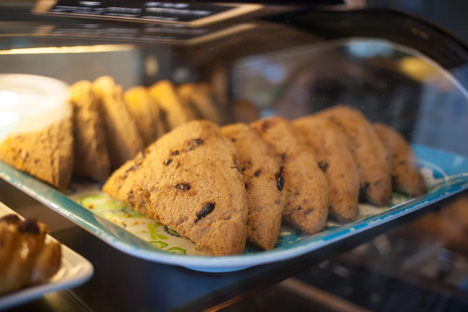 About Meg's — Meg's Daily Grind