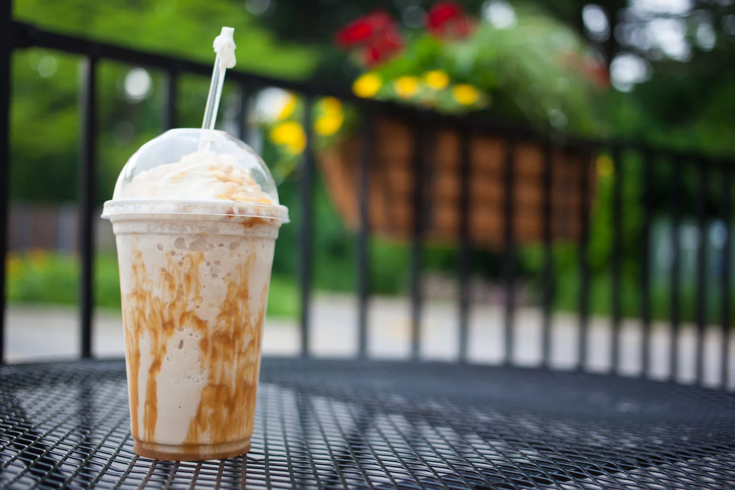 Coffee and Menu — Meg's Daily Grind