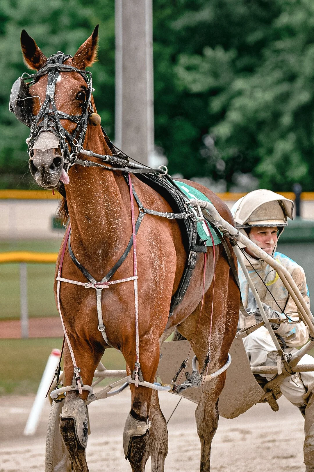 Clinton Raceway