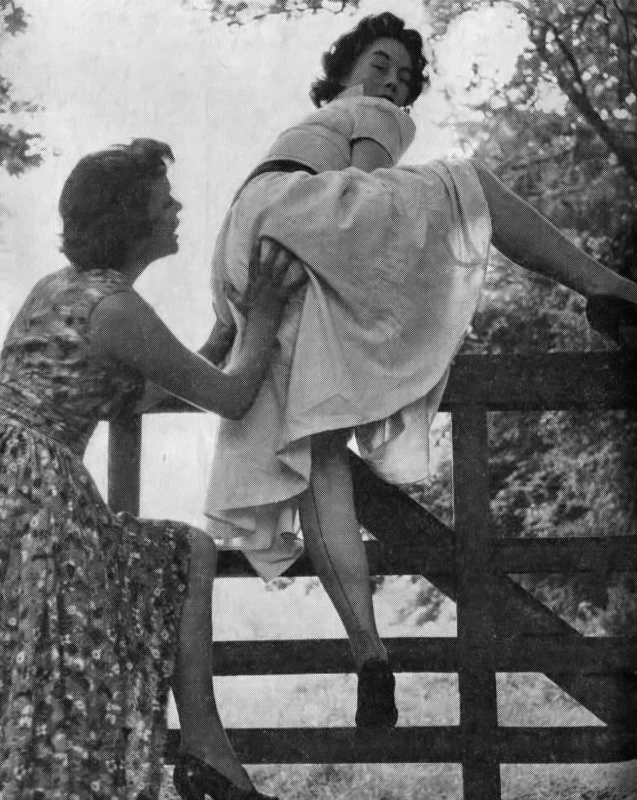 Shirley Ann Field Gallery — Vintage Fetish