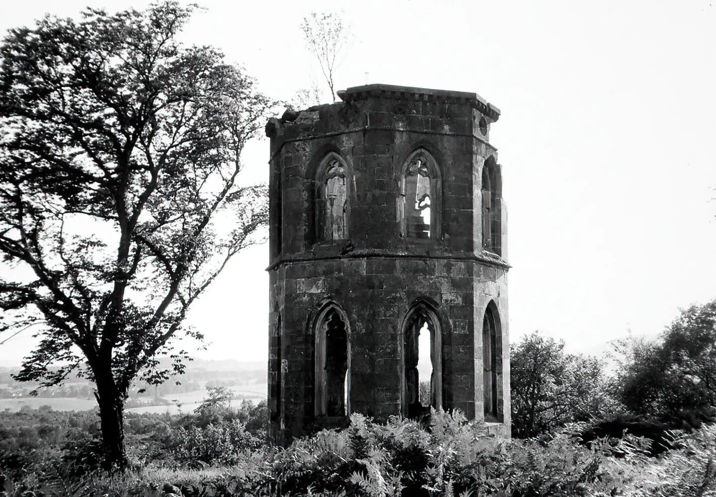 Ruth Cavendish - Spick, Span and Beautiful Britons Pin-Up Model from ...