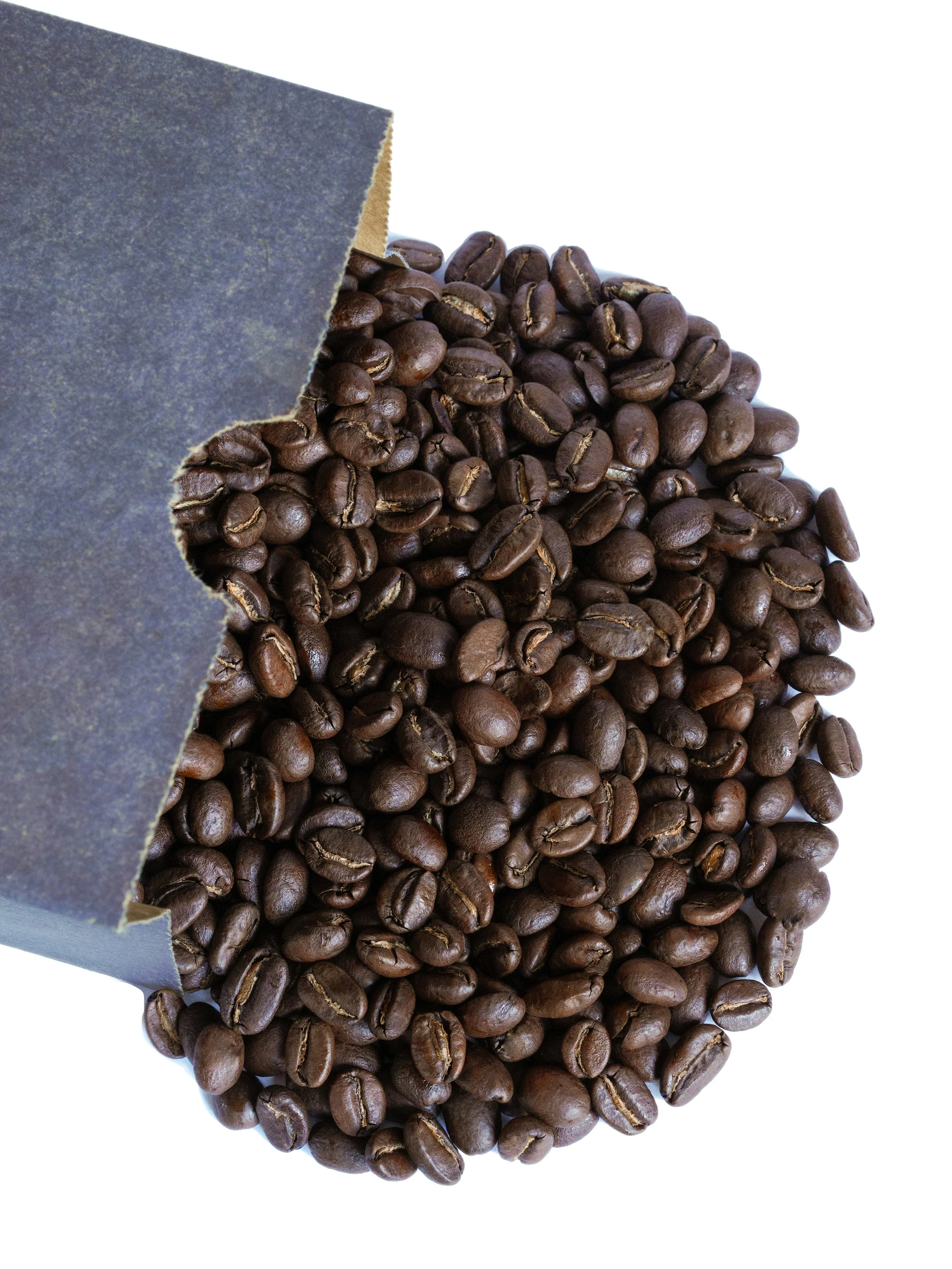 Bucci Coffee Co. | Specialty Coffee Brewery