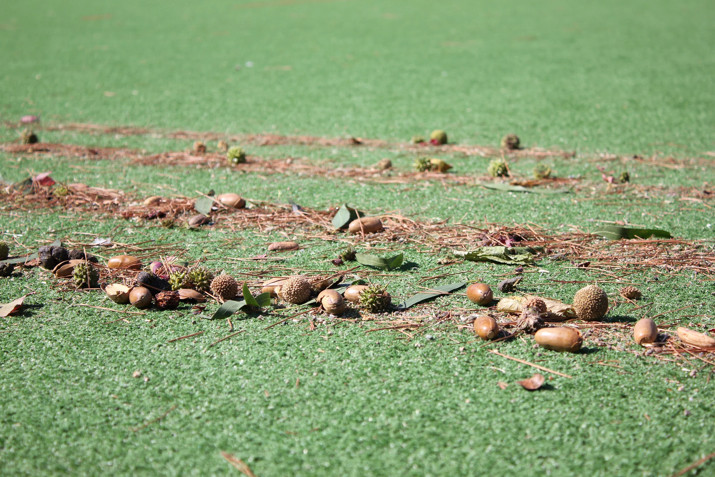 Friction Sweepers International