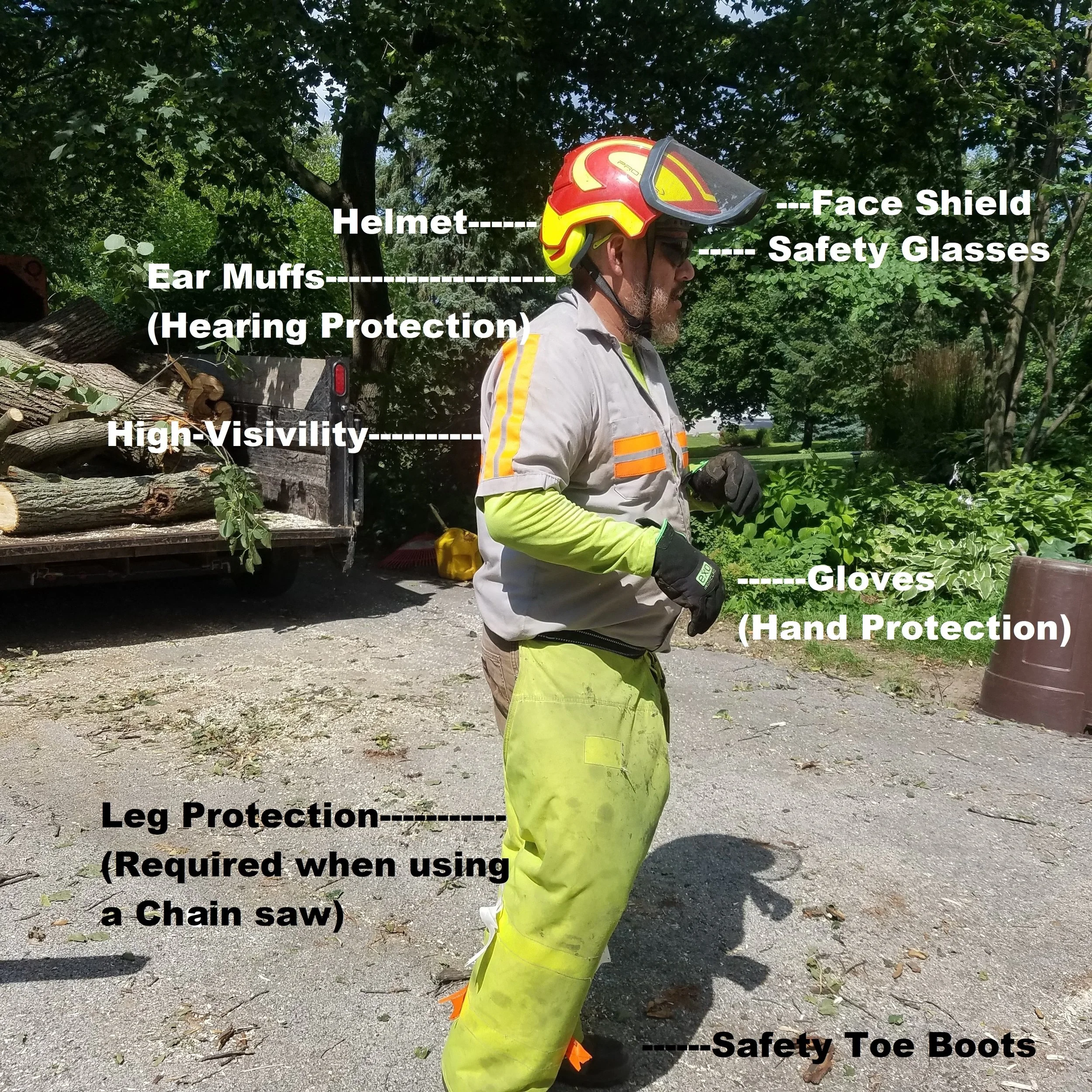 DOS Tree Service — Safeguard