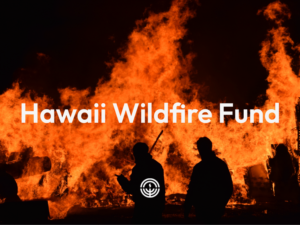 Jewish Federations Launch Hawaii Wildfire Fund — JEWISH FEDERATION ...