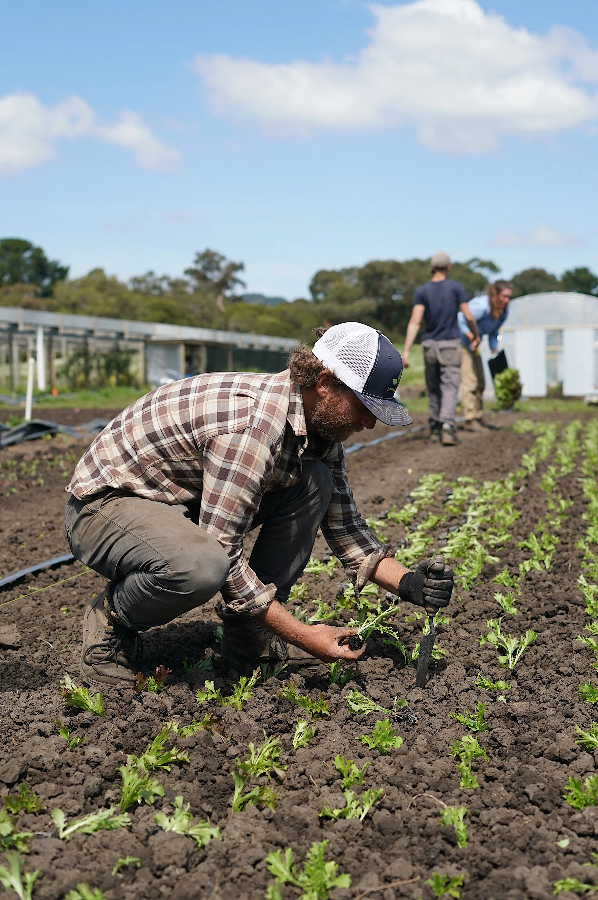 EVERY DISH TELLS A STORY — EatDrink Mornington Peninsula
