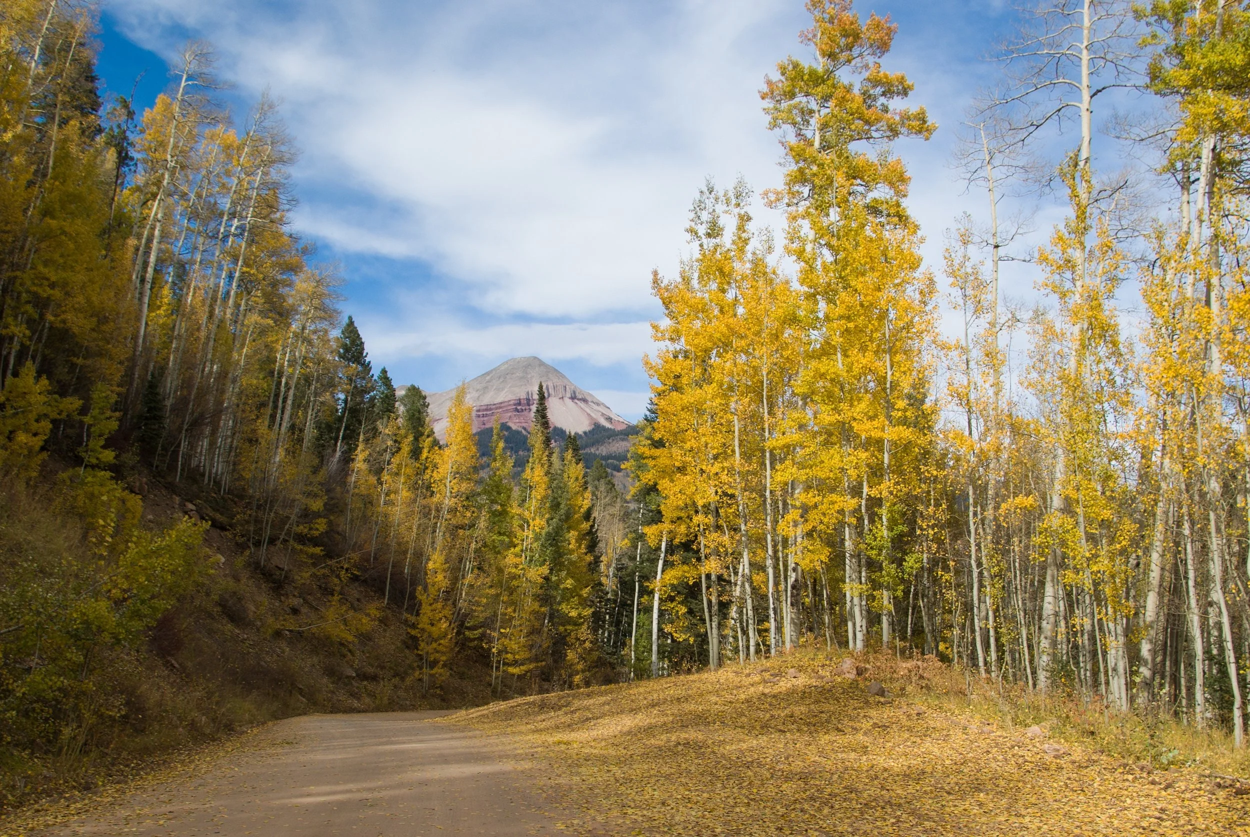 Littleton Chiropractor | DocSpitz | Contact — Doc Spitz