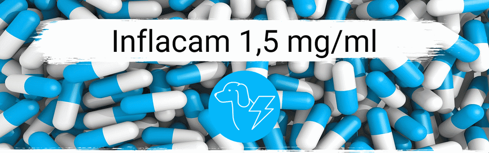 Inflacam 1,5 mg/ml Suspension: Wirksames Tierarzneimittel für Hunde ...
