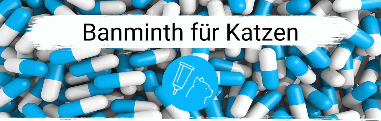 Tierarznei- und Hausmittellexikon: Banminth für Katzen — confidu