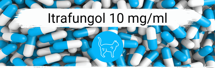 Tierarznei- und Hausmittellexikon: Itrafungol 10 mg/ml für Katzen — confidu