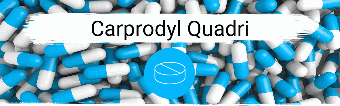 Carprodyl Quadri: Wirksames Tierarzneimittel für Hunde — confidu