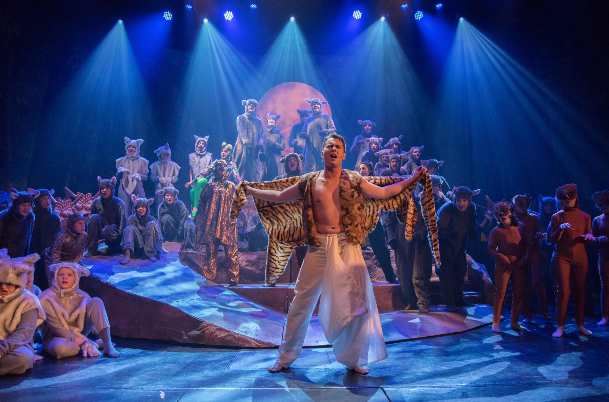 About MGS | Melbourne Gang Show