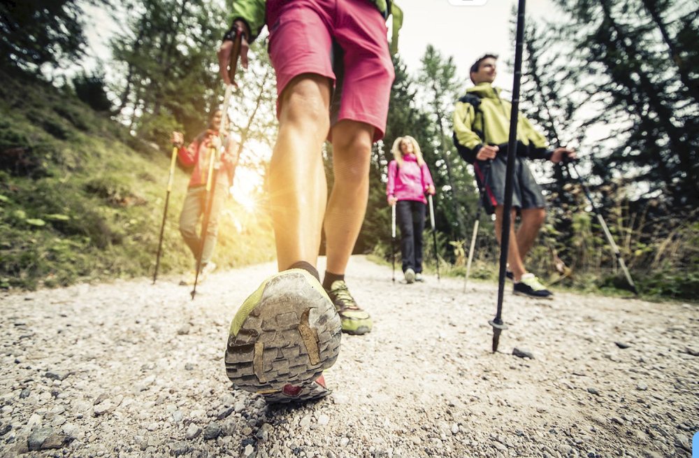Wellnatured - Yoga Therapy - Breathwork - Nordic Walking - Wild Well ...